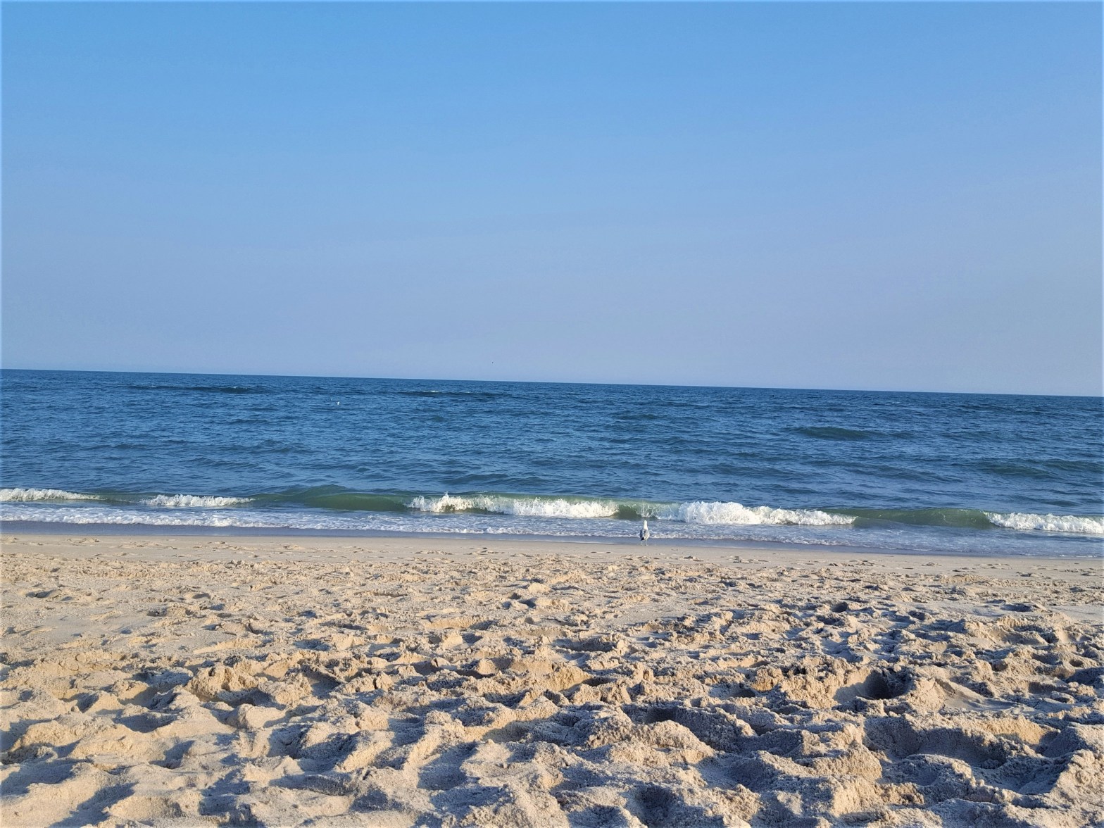 Summer Fragrances: Recommendations Of The Best Scents For The Season ...